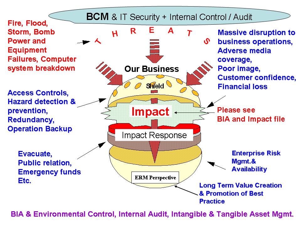 BCM | Information Technology Governance